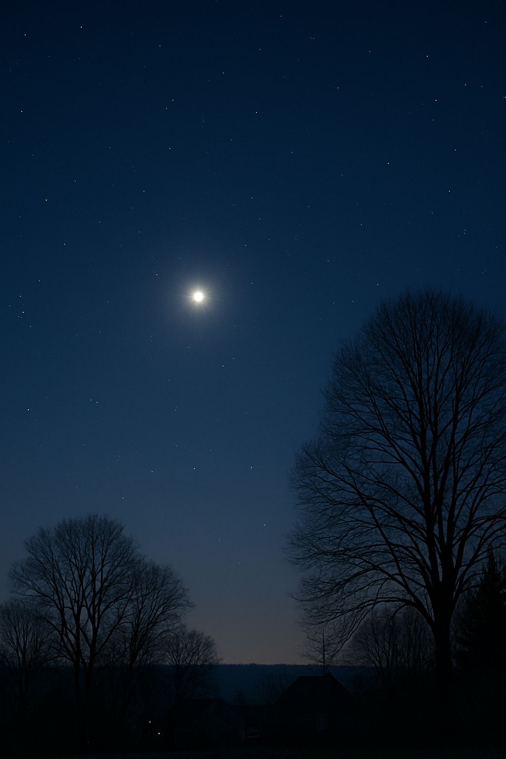 A Brilliant Christmas Star Lights Up December Sky — When to Look